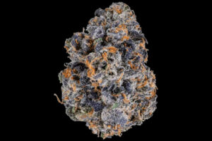 Cannabis and Display Gallery - MJ Dispensary